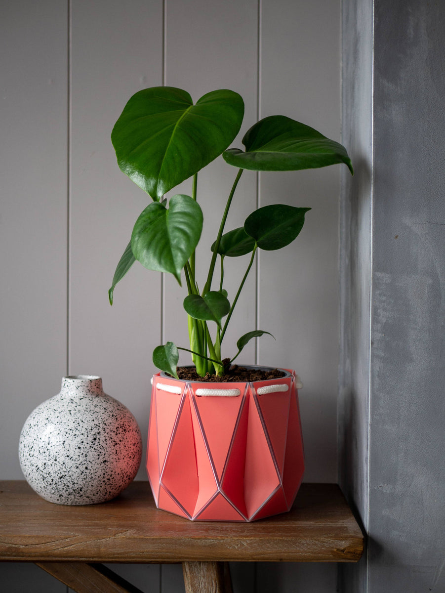 Large Coral Self-Watering Plant Pot– Albert & Moo