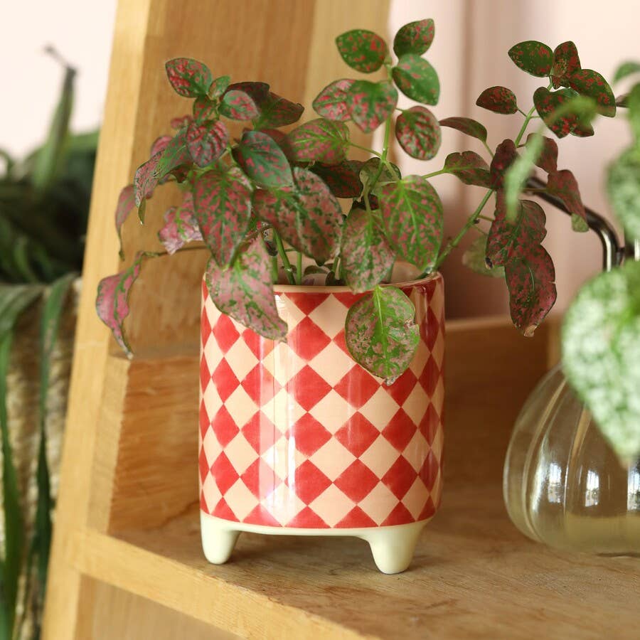 Red and Pink Checked Mini Plant Pot– Albert & Moo